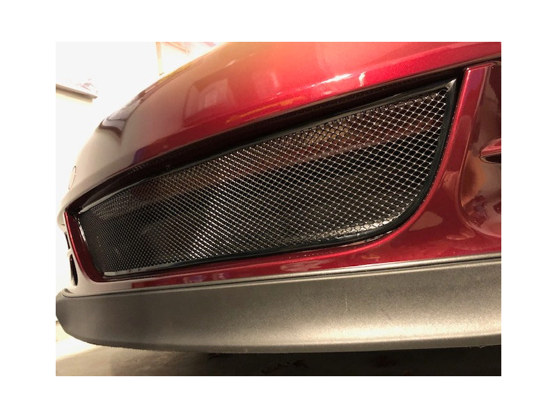 RGS 997.1CenterandSides Complete front bumper grille wire mesh set ...