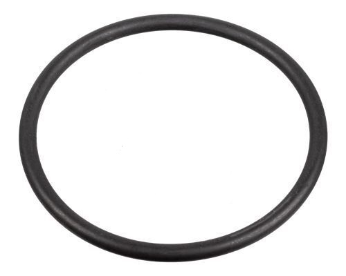 Sealing ring 31 x 2 high pressure fuel pump. Porsche 95B Macan / 957 ...