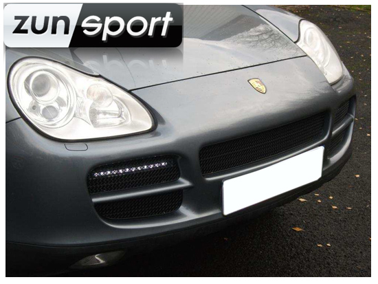 Buy Porsche Cayenne 9PA (955) 2003-2006 Protective Grill | Design 911