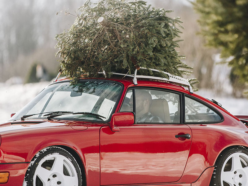 Porsche 911 Rennline Vintage Roofrack - E99BLACK | Design 911